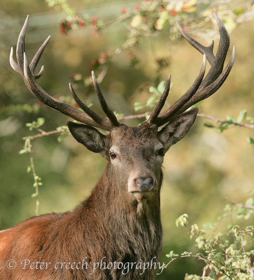 Photo of the Week – Exmoor 4 all