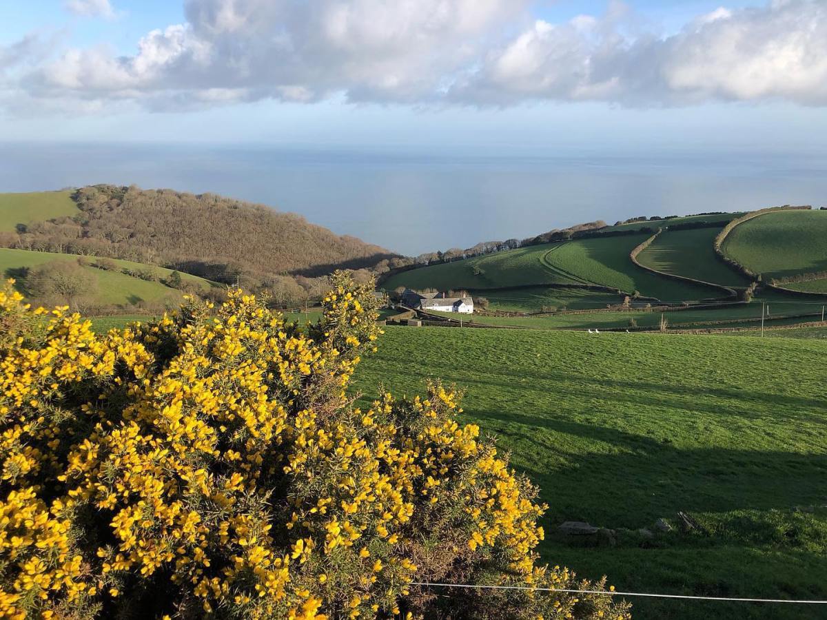 John Richards – Exmoor 4 all