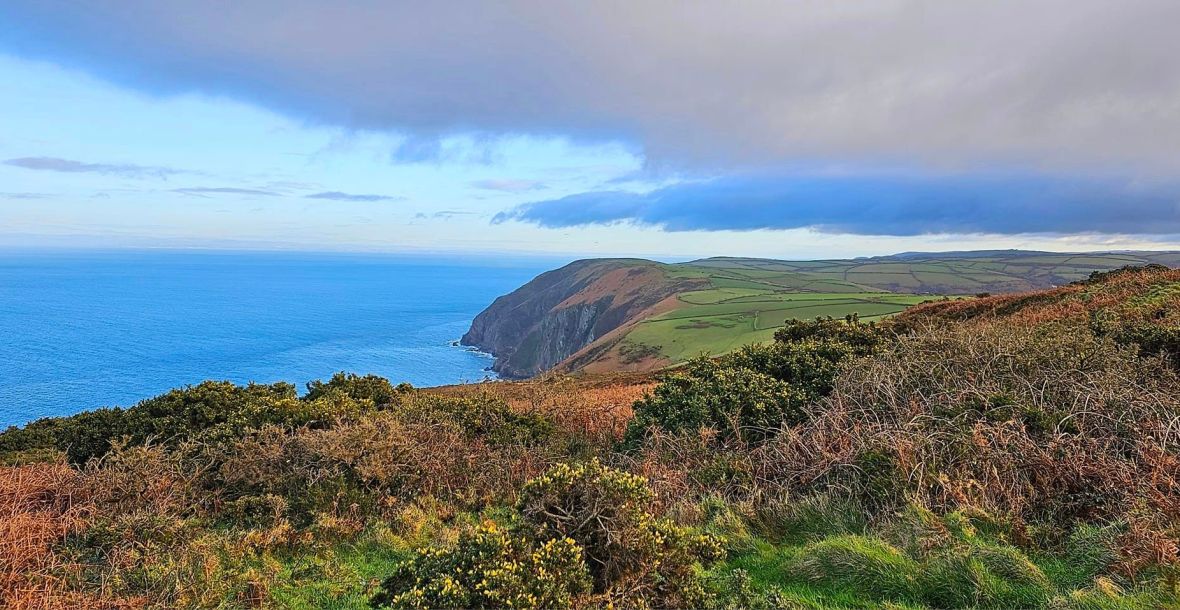 Exmoor 4 all – Celebrating Exmoor: A Beautiful Holiday Destination & A ...