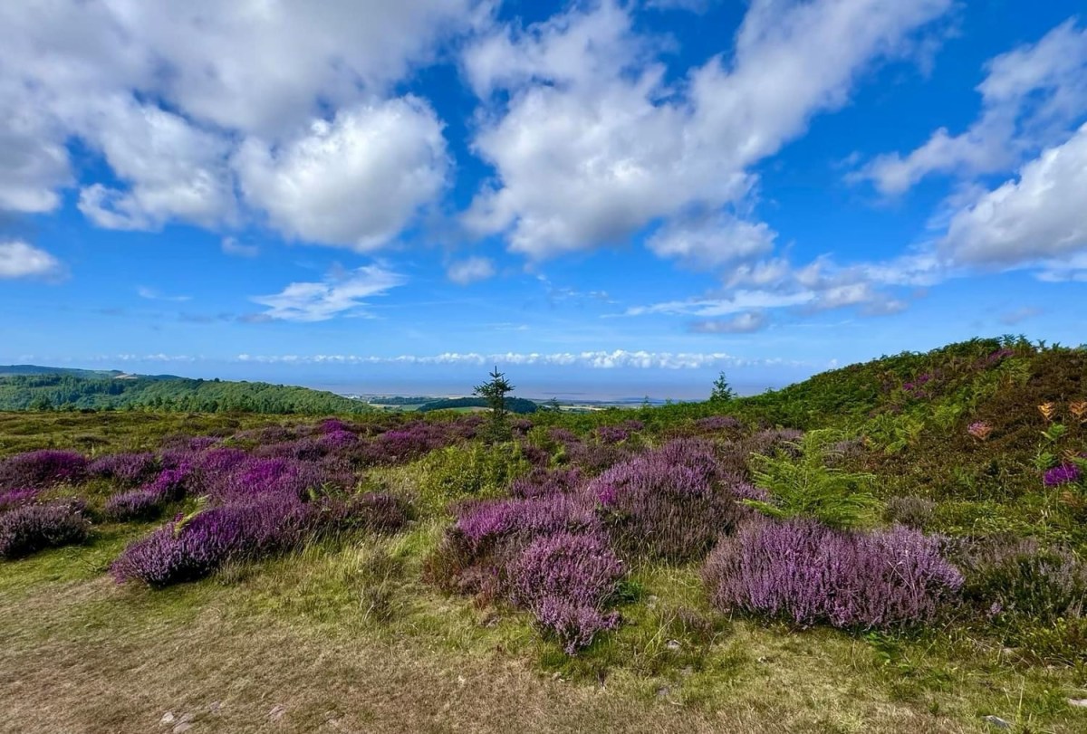 From Timberscombe to Bats Castle – Exmoor 4 all