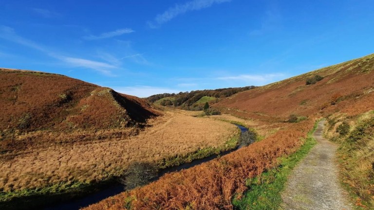 News – Exmoor 4 all