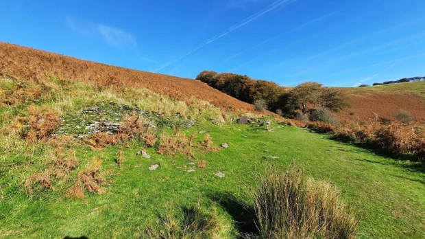 News – Exmoor 4 all