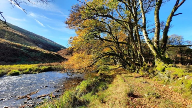 News – Exmoor 4 all