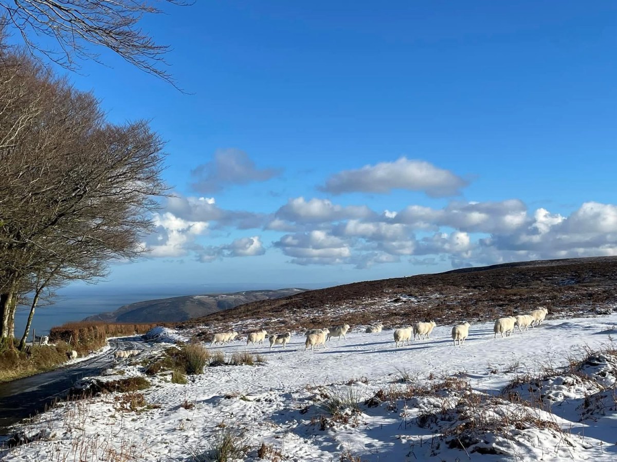 Out and about on Porlock Hill in the snow – Exmoor 4 all
